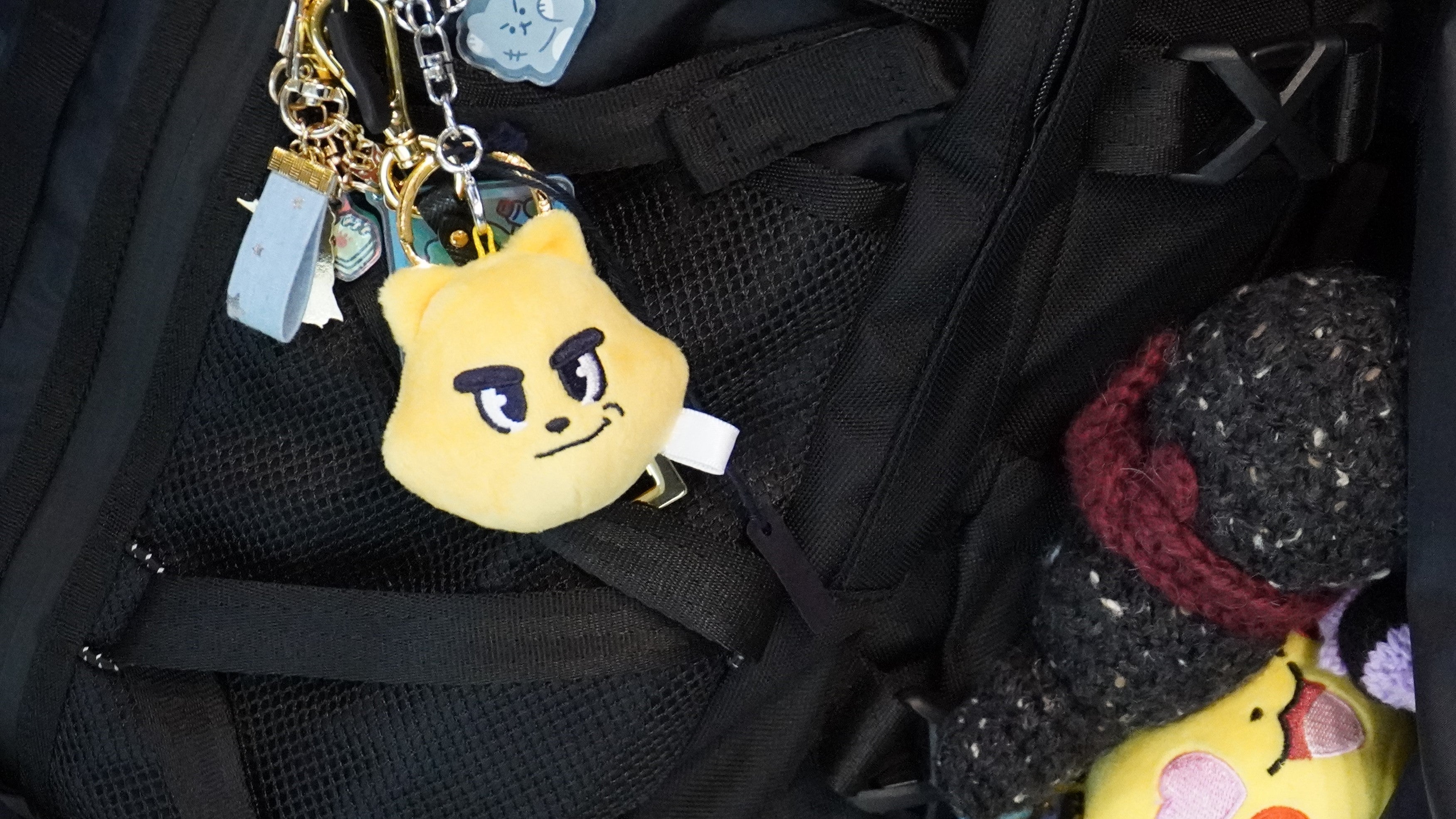 T1 Animal Kingdom Plush Keychain – T1 Shop